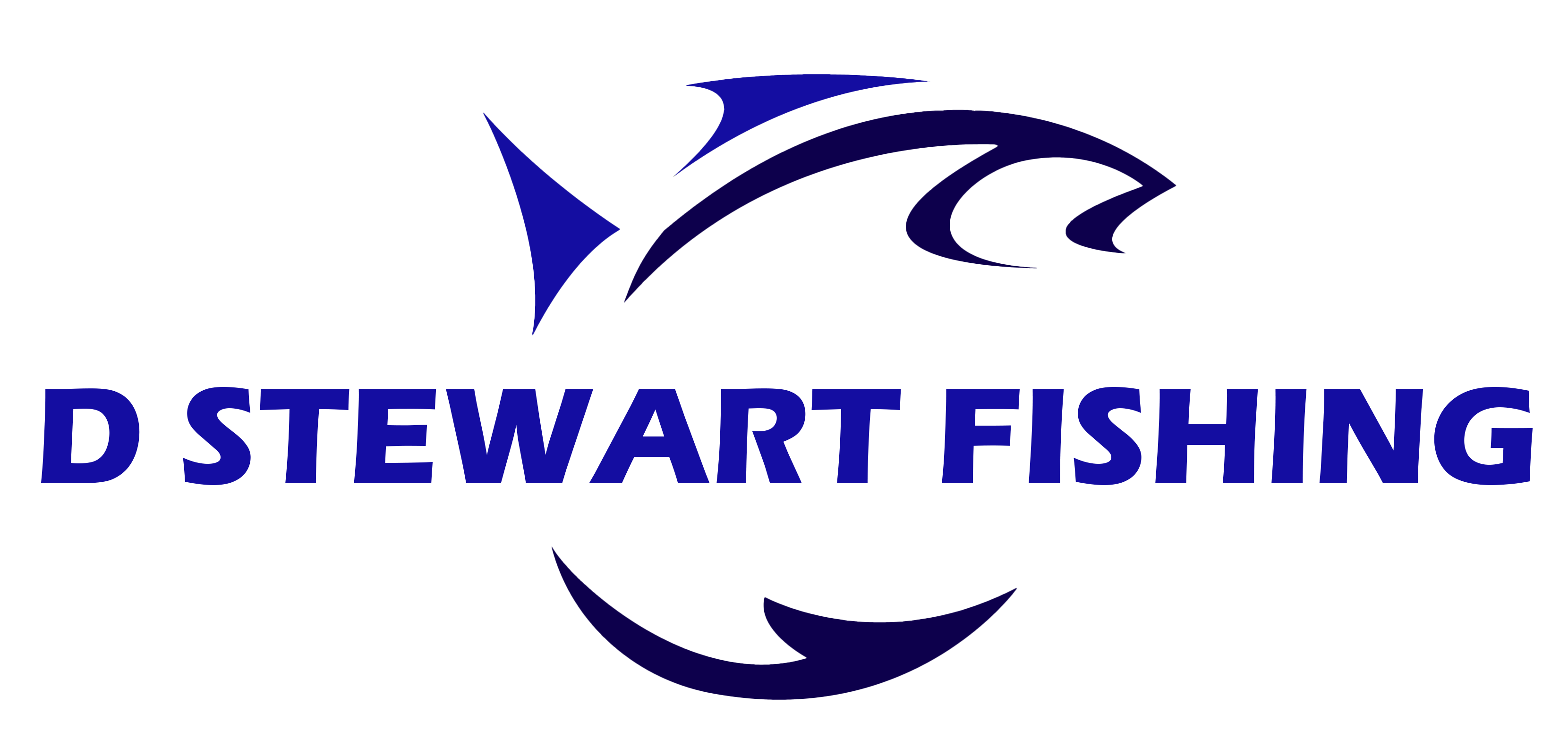 Home [dstewartfishing.com]